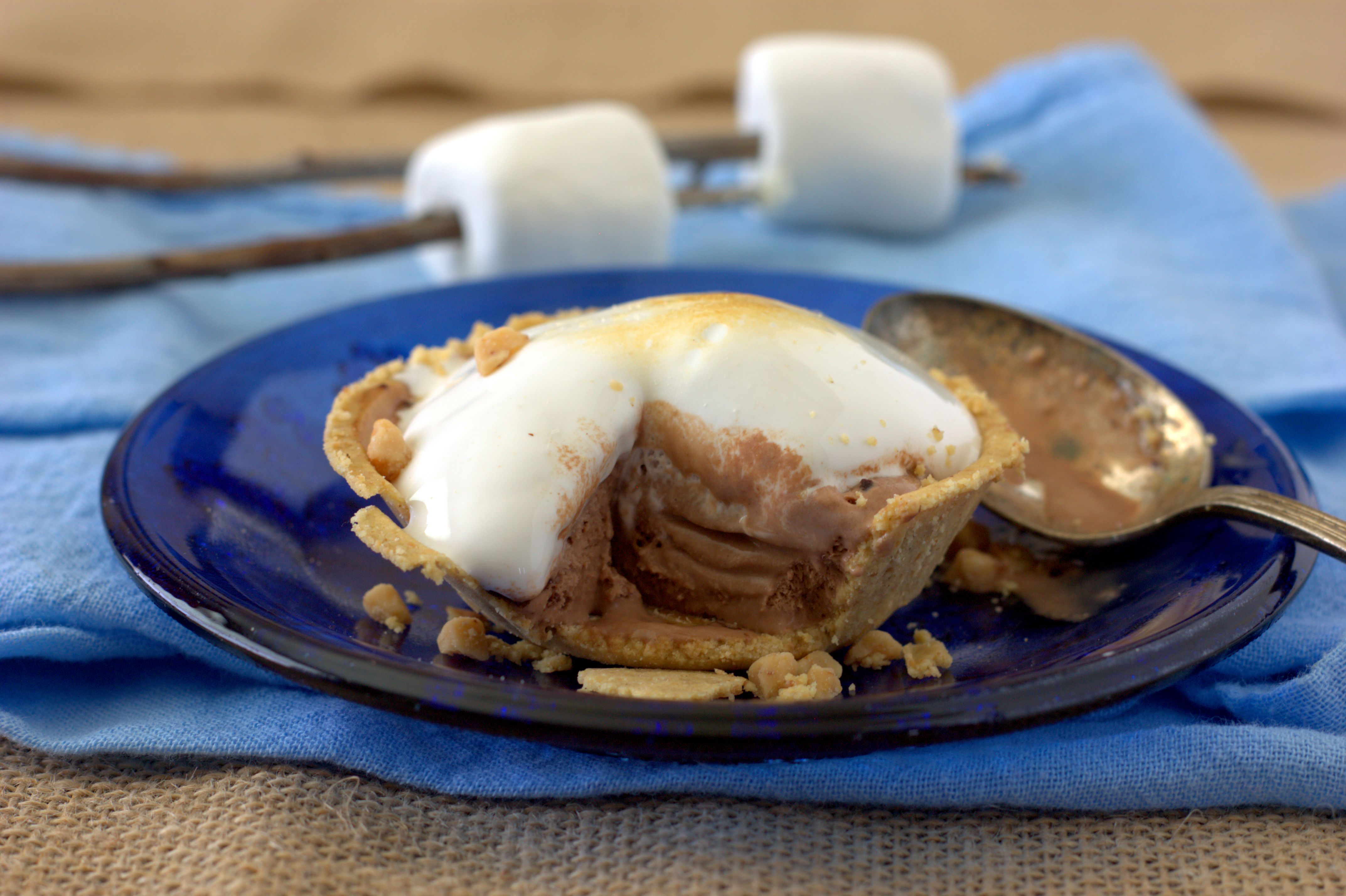 S'more Baked Alaska - Experimental Epicurean